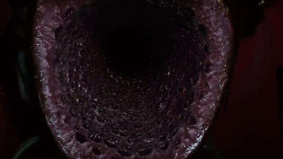 31 Days Of Weird Movie Monsters 31 Days Of Weird Movie Monsters